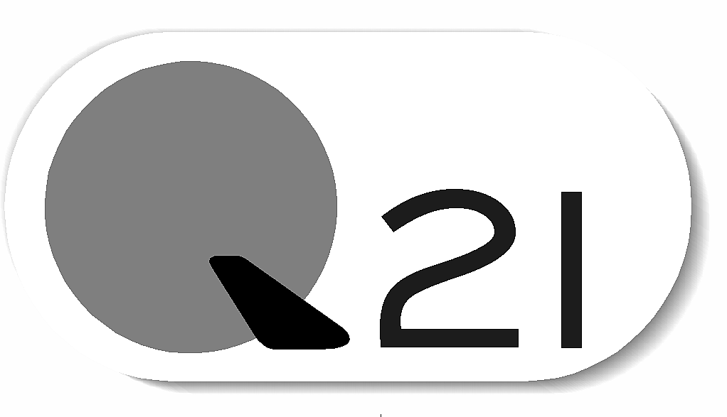 Q21, Germany – Creativity and Innovation Management in Higher Education